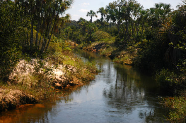 Veredas: você sabe o que são? | CBHSF