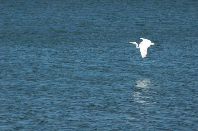 O que é uma bacia hidrográfica? | CBHSF