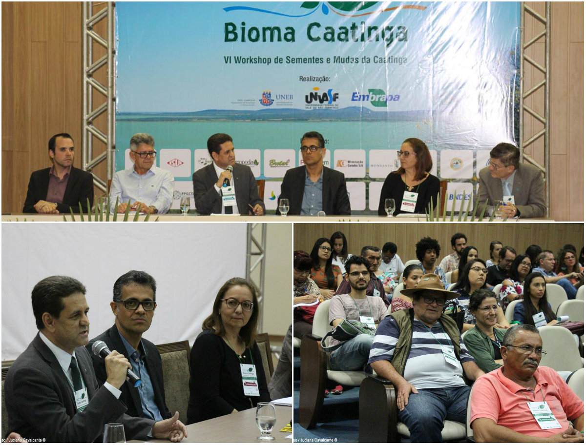 CTPPP se reúne no norte da Bahia e cumpre agenda sobre o semiárido ...